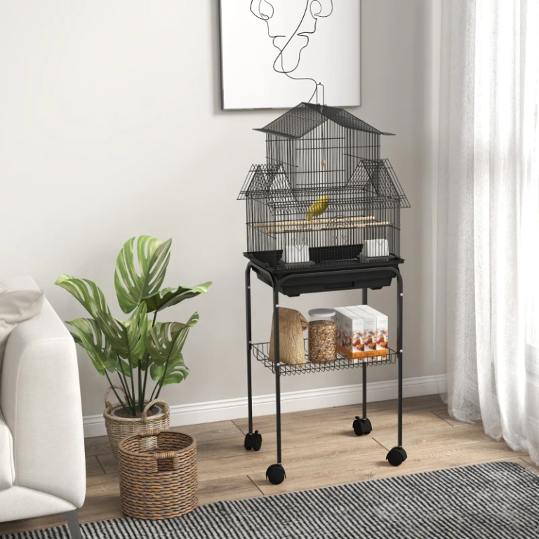 15 Best Bird Cage Explained: Which One Is Best for Your Bird? - Aosom