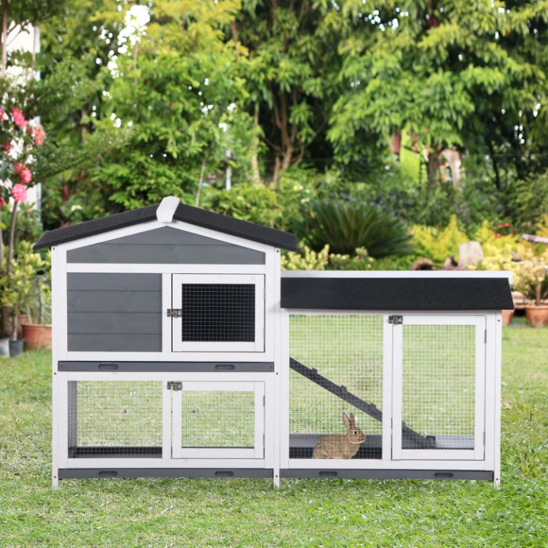 12 Best Rabbit Hutch: Top Types for Comfort, Safety & Easy Care - Aosom