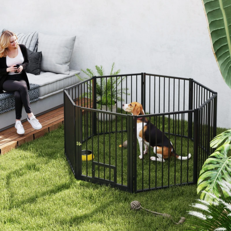 How Big Should a Dog Playpen Be: Essential Size Guide for Your Dog’s ...