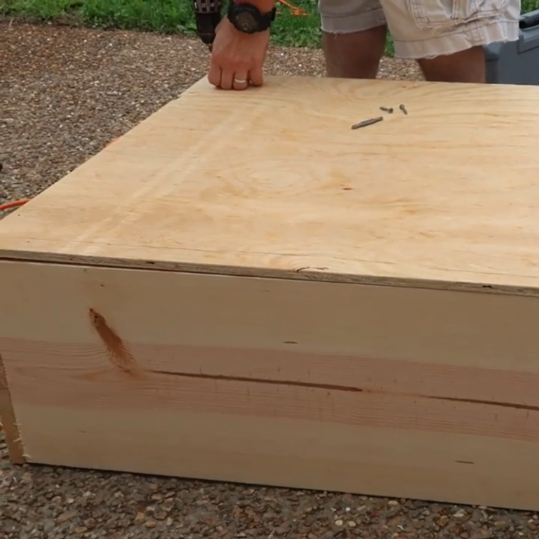 How to Make a Tortoise House: Build a Safe & Sturdy Enclosure - Aosom