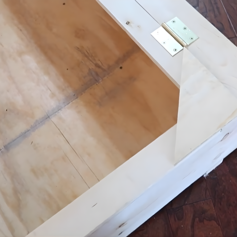 How to Make a Tortoise House: Build a Safe & Sturdy Enclosure - Aosom