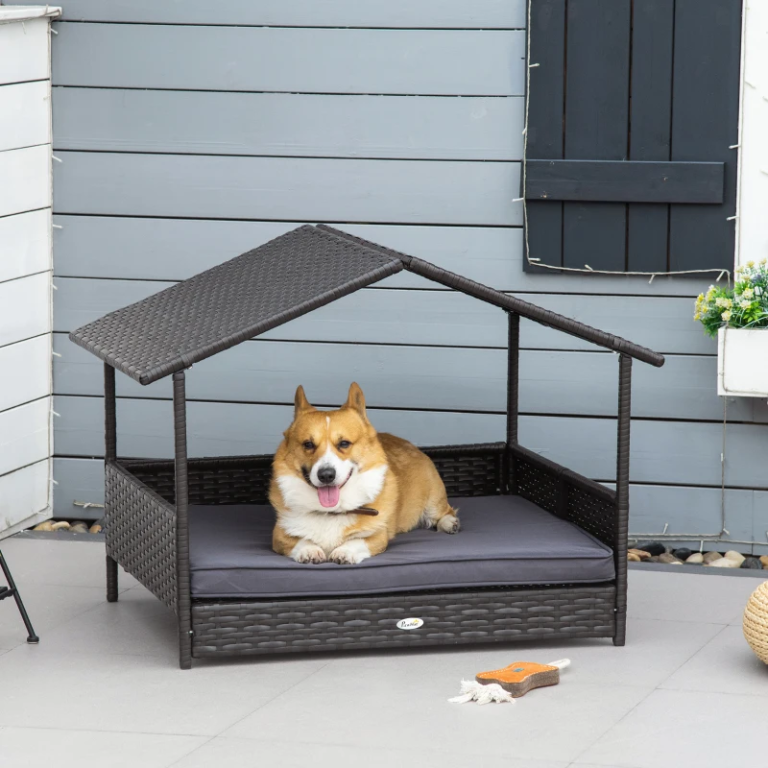 How to Choose a Dog Bed: The Complete Detailed Guide - Aosom