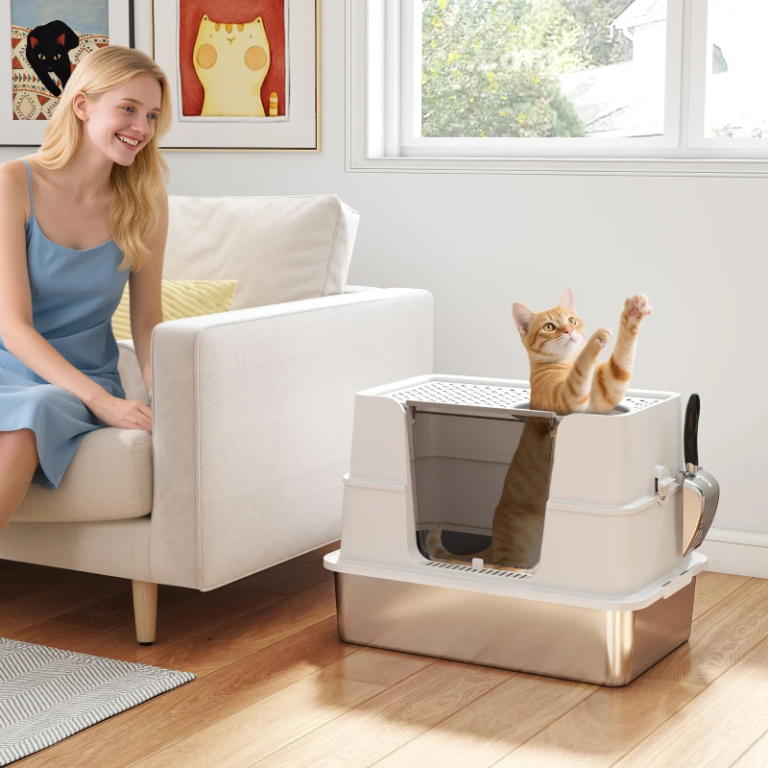 7 Best Cat Litter Box Enclosures That Keep Your Home Fresh - Aosom